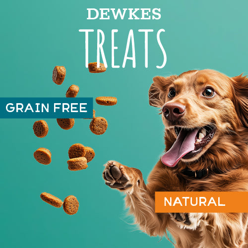 Natural Dog Food & Treats | Wholesale & Hospitality | Dewkes UK