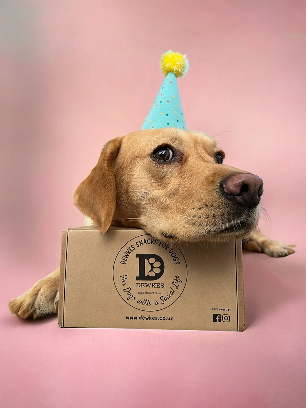 Dewkes Snacks for Dogs