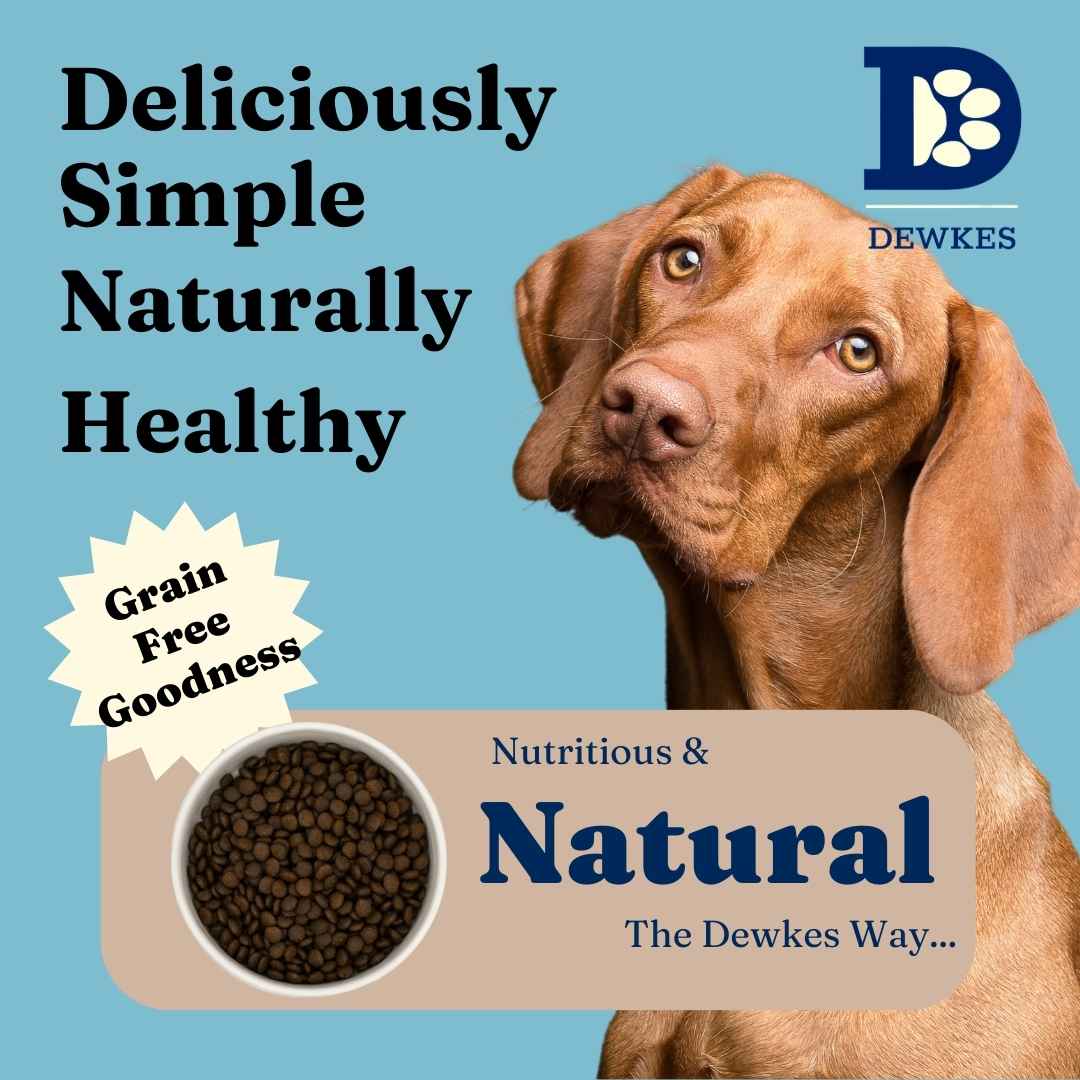 Natural Pet Food & Treats | Wholesale & Hospitality | Dewkes UK