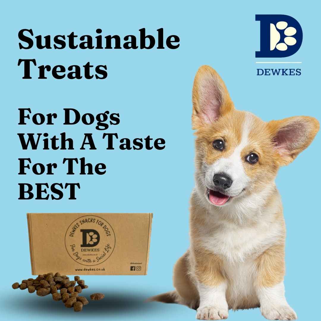 Natural Dog Food & Treats | Wholesale & Hospitality | Dewkes UK