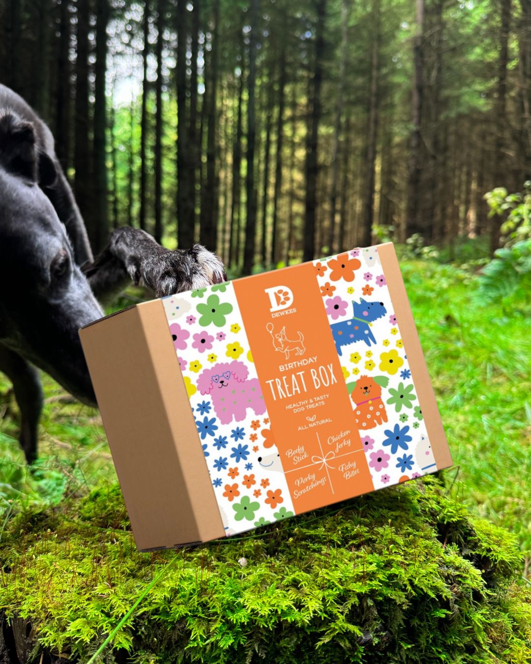 Natural Dog Food & Treats | Wholesale & Hospitality | Dewkes UK